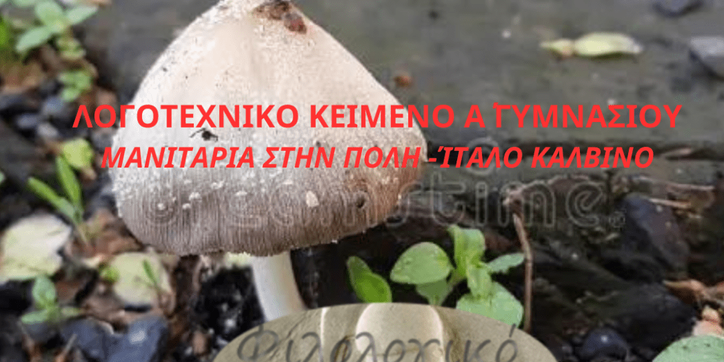 ΛΟΓΟΤΕΧΝΙΚΟ ΚΕΙΜΕΝΟ Α΄ ΓΥΜΝΑΣΙΟΥ ΜΕ ΑΝΑΛΥΣΗ-ΑΦΗΓΗΜΑΤΙΚΕΣ ΤΕΧΝΙΚΕΣ-ΥΦΟΣ ...