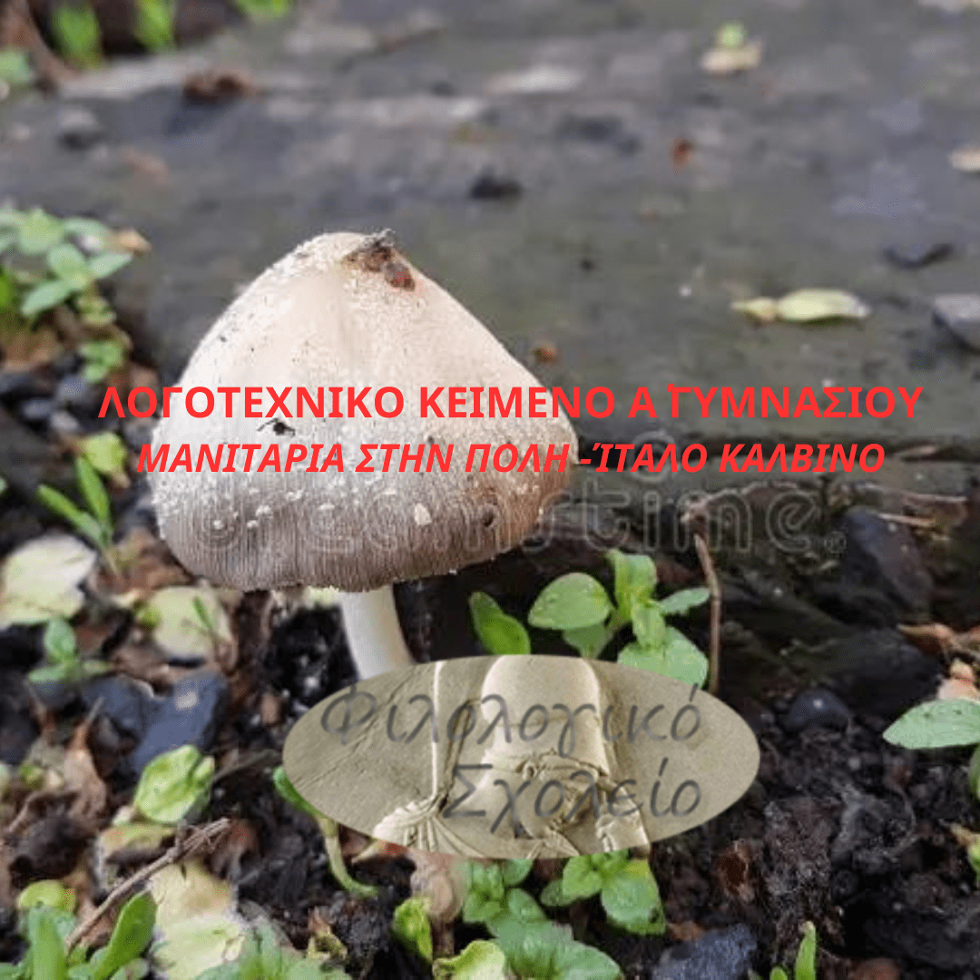 ΛΟΓΟΤΕΧΝΙΚΟ ΚΕΙΜΕΝΟ Α΄ ΓΥΜΝΑΣΙΟΥ ΜΕ ΑΝΑΛΥΣΗ-ΑΦΗΓΗΜΑΤΙΚΕΣ ΤΕΧΝΙΚΕΣ-ΥΦΟΣ ...